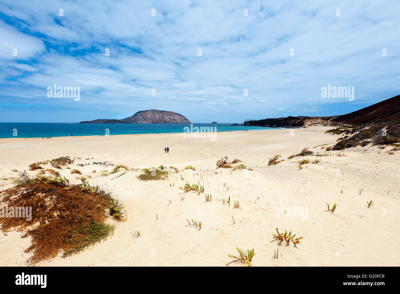 Conchas hi-res stock photography and images - Alamy