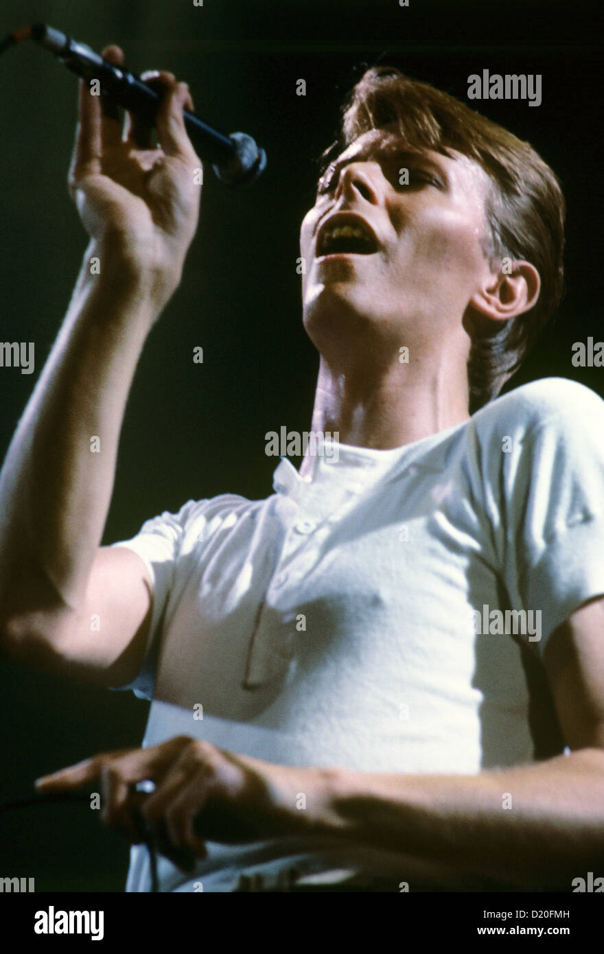 David Bowie in concert on 14 May 1978 in the Festhalle in Frankfurt ...