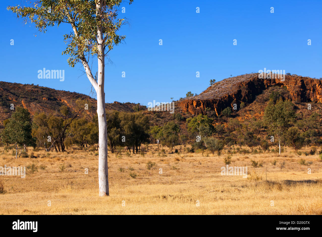 Australia outback grassland grass hi-res stock photography and images ...