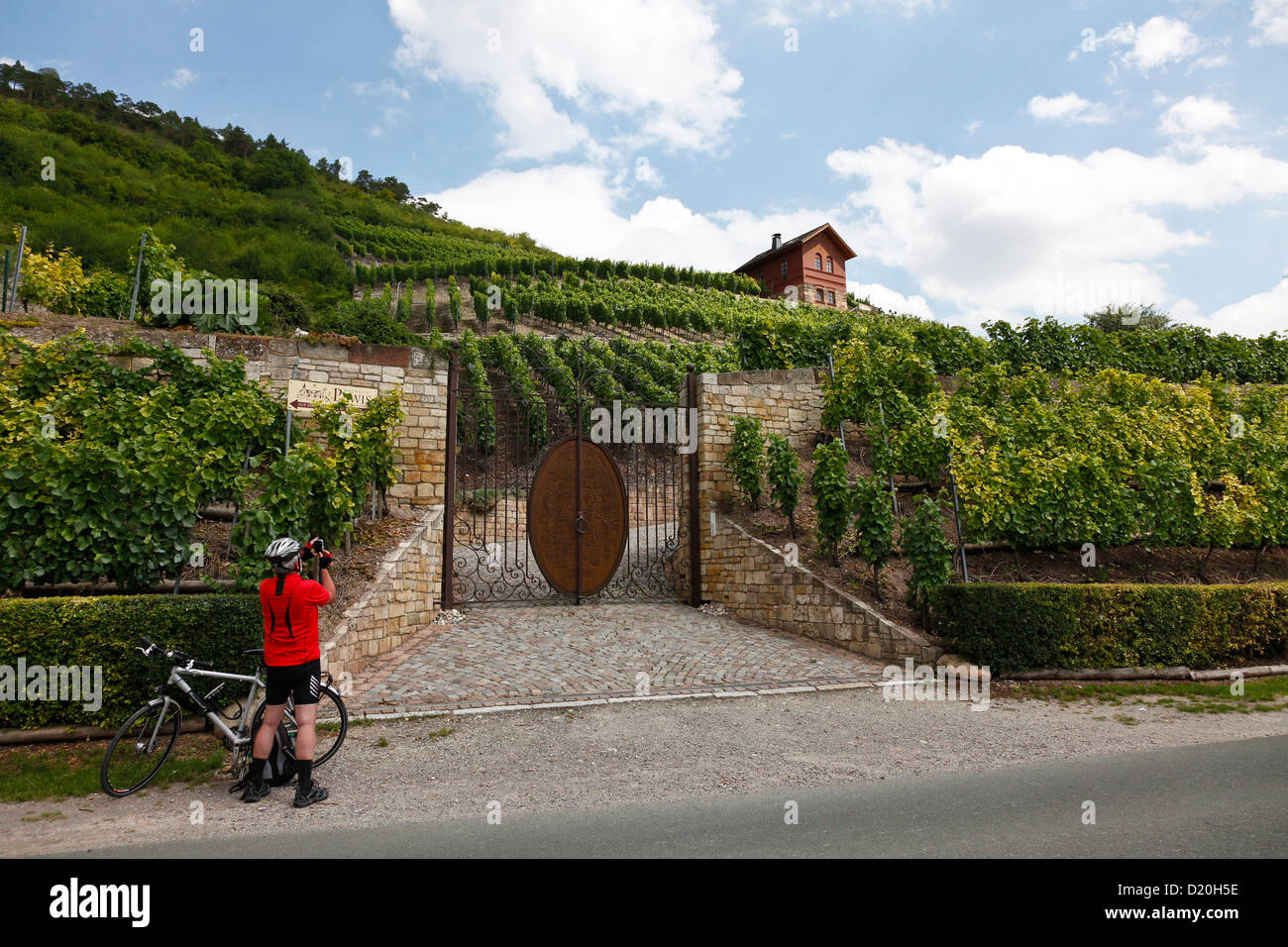 Winery entrance gates hi-res stock photography and images - Alamy