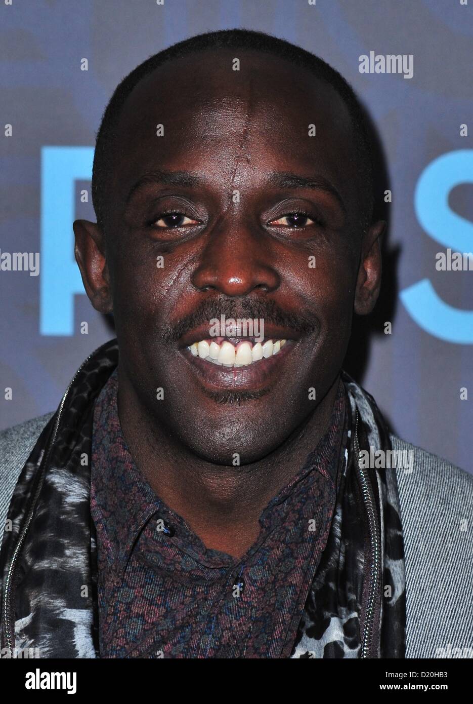 Michael K. Williams at arrivals for HBO's GIRLS Season Two Premiere ...