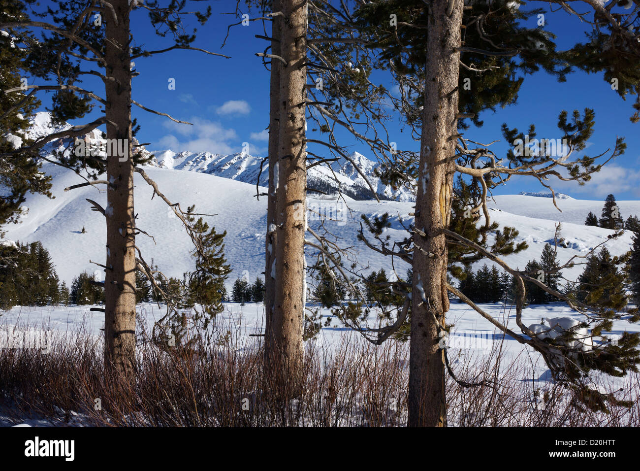 Sawtooth national forest hi-res stock photography and images - Alamy