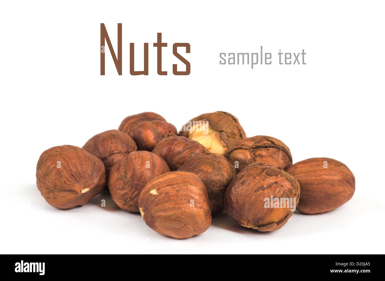 Hazel nut isolated on white background Stock Photo - Alamy