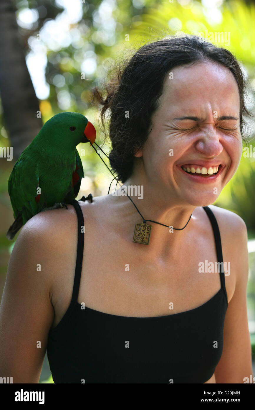 Ridiculous parrot hi-res stock photography and images - Alamy