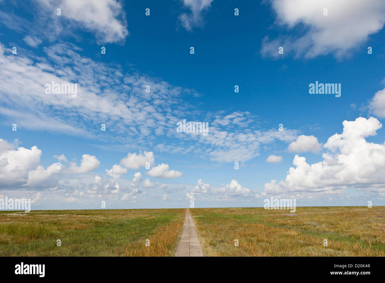 Salt march hi-res stock photography and images - Alamy