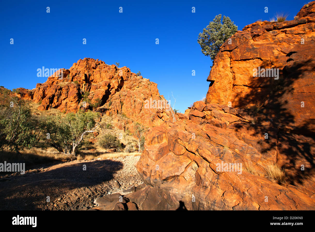N'Dhala Gorge East MacDonnell Ranges Central Australia Stock Photo - Alamy