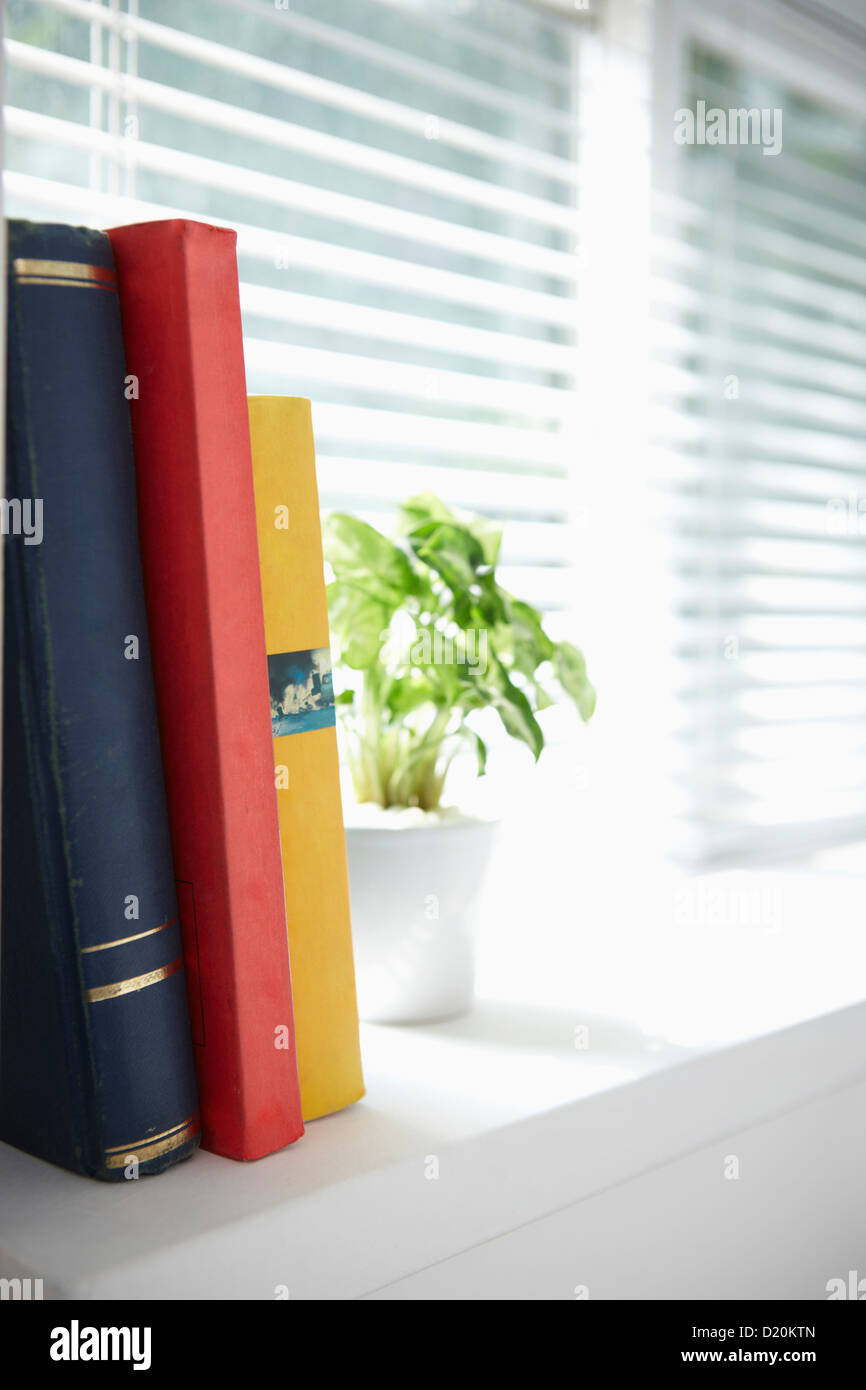 books and a plant on the window Stock Photo - Alamy