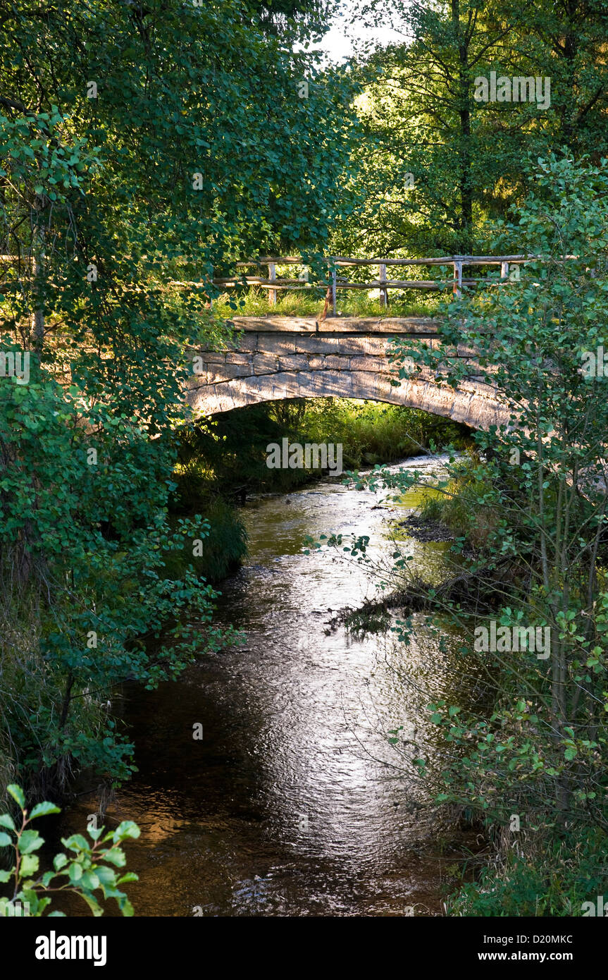 River, bridge, nature reserve Green Belt, Harz, Saxony-Anhalt, Germany ...