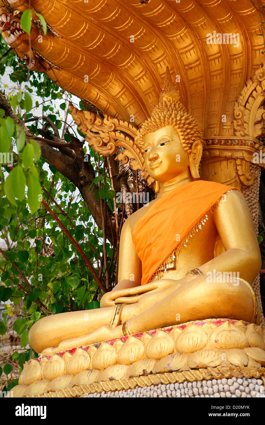 Buddhist statue at Wat Si Muang, Vientiane, Laos, Indochina Stock Photo ...