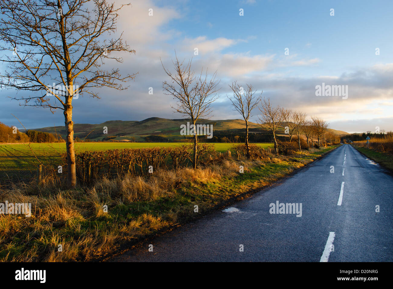 Midwinter in the Scottish Borders - a rolling Cheviot landscape beyond ...