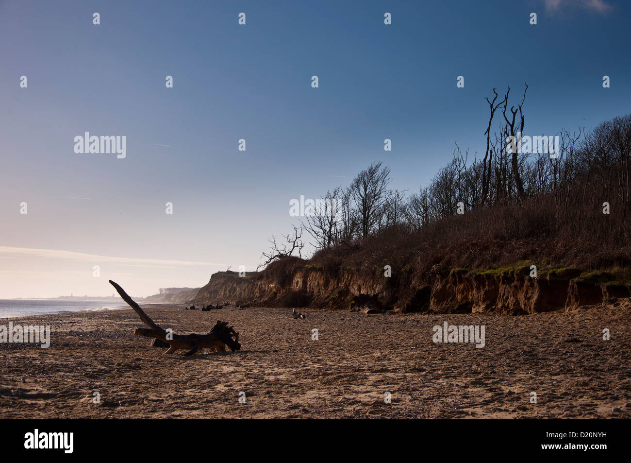 Covehithe Beach Suffolk Stock Photo - Alamy