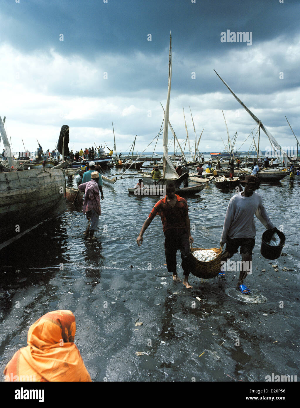Fish market at the old Dhow harbour, fisher boats get unloaded, Malindi ...