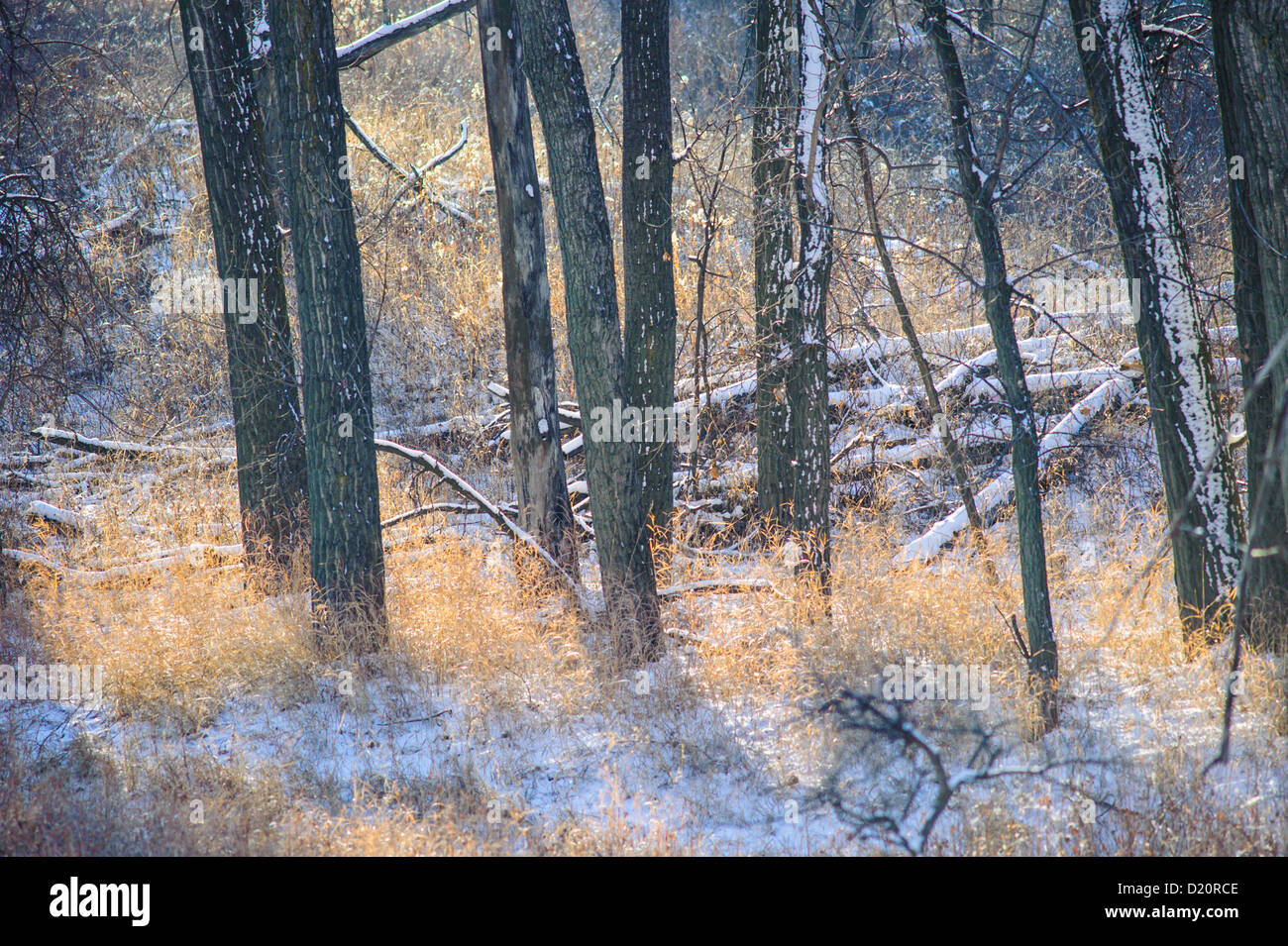 River bottom lethbridge hi-res stock photography and images - Alamy