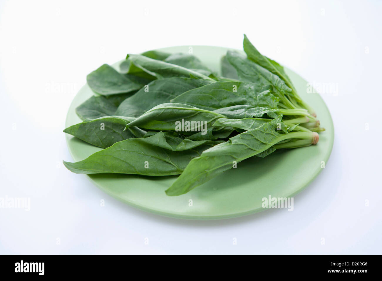 bundle of organic spinach Stock Photo - Alamy