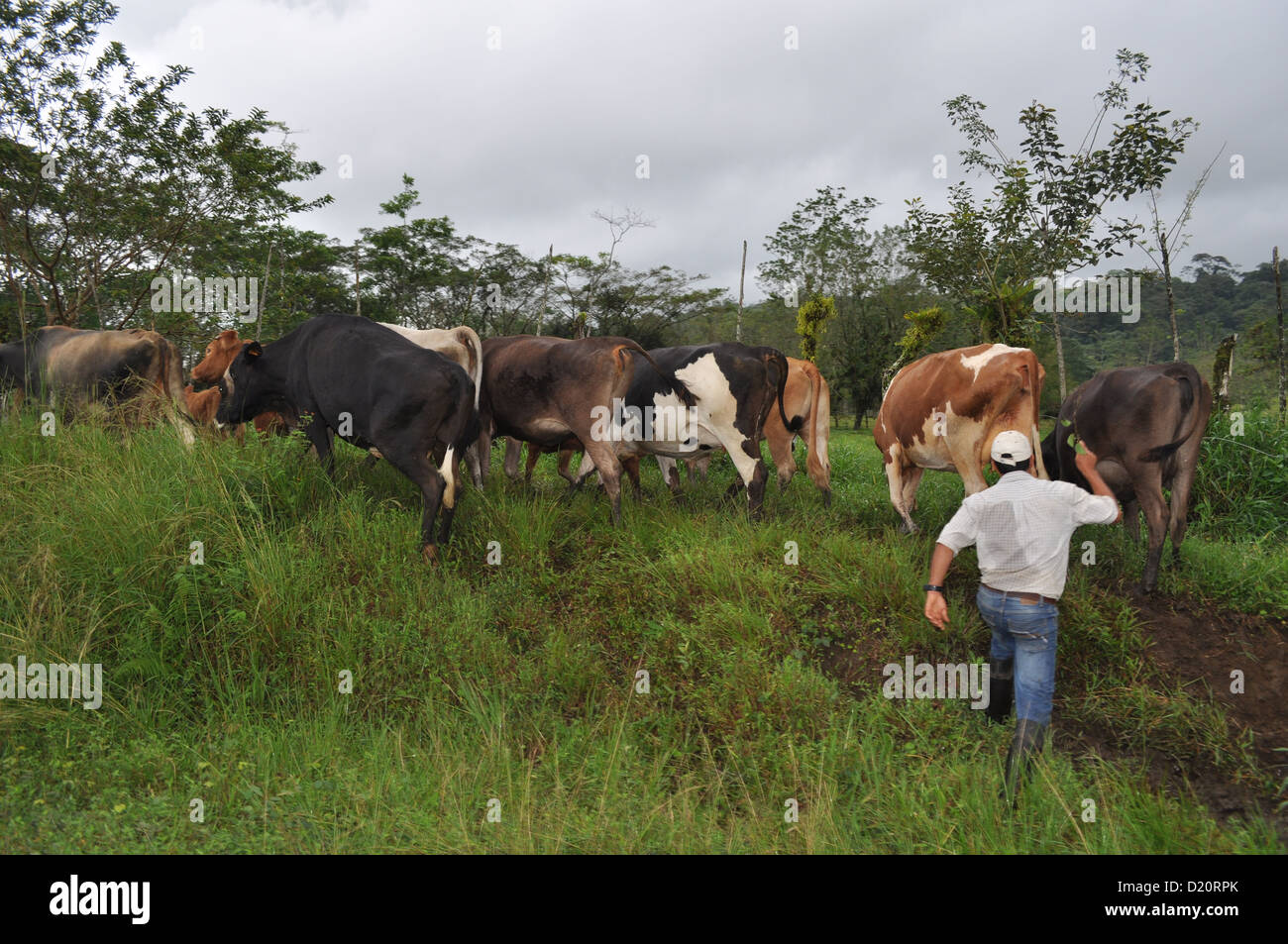 Costa Rica, countryside Stock Photo - Alamy