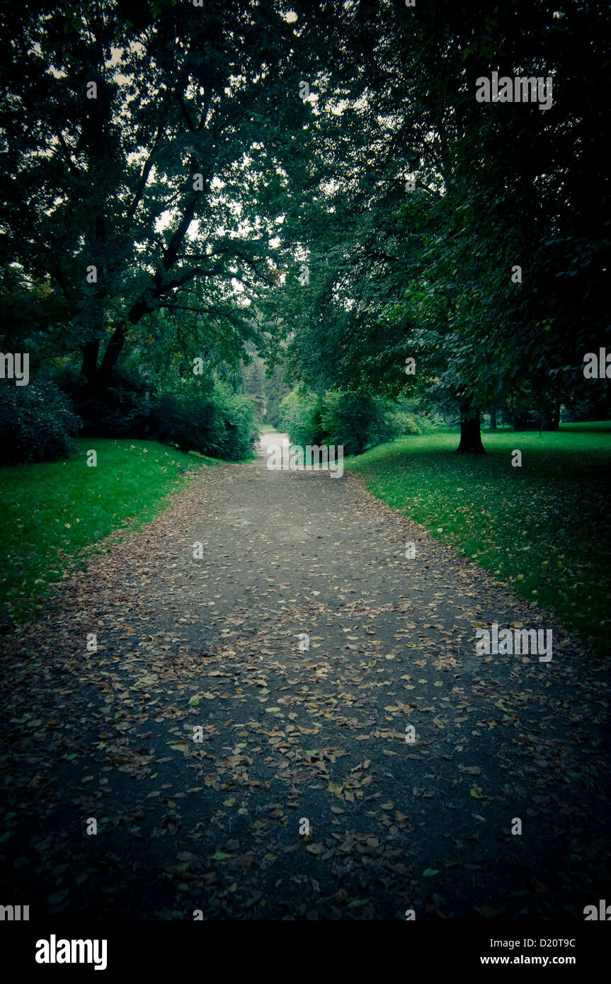mysterious dark road leading into a park Stock Photo - Alamy