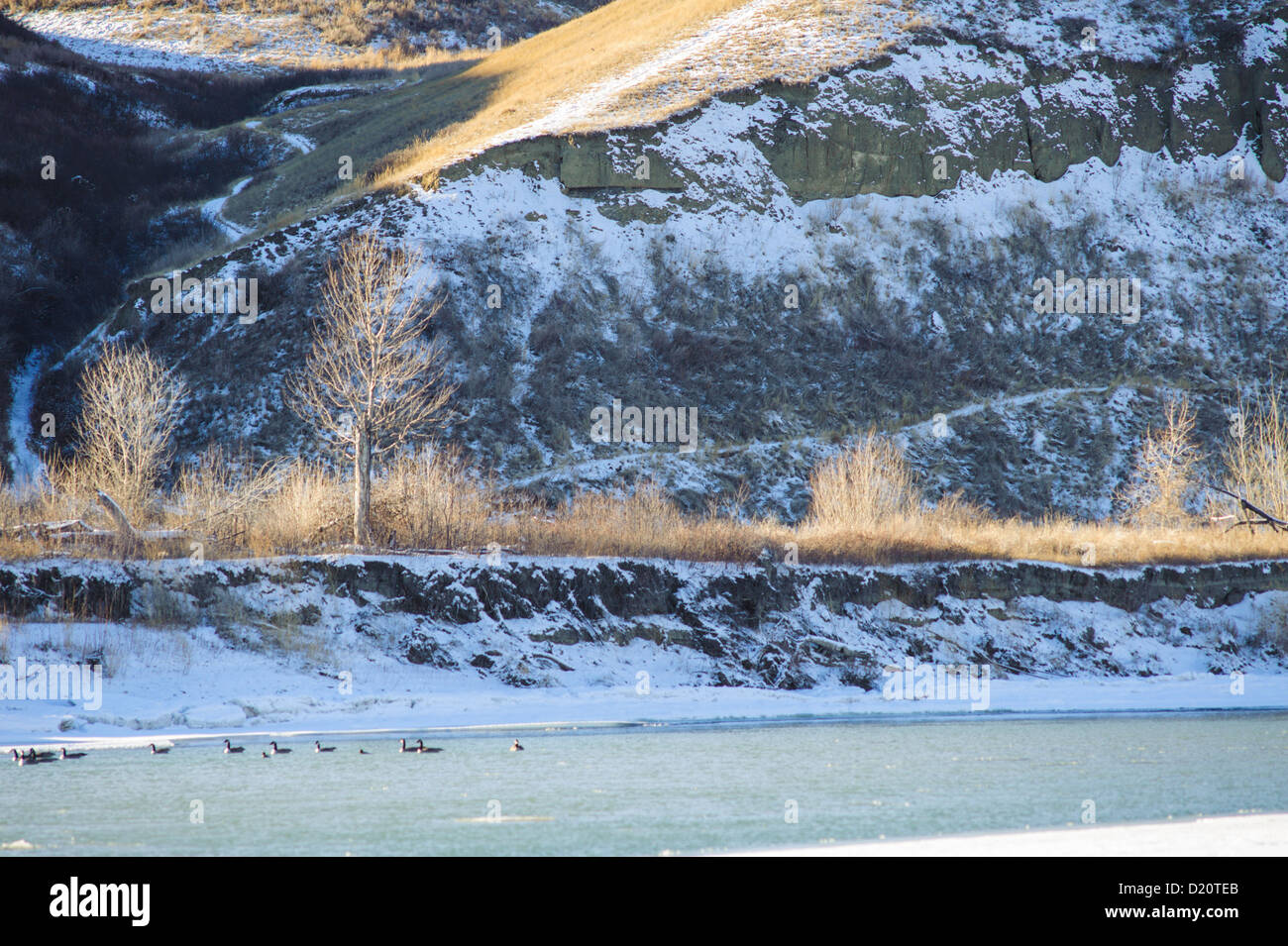Old Man River in Winter with coulees in the background, lethbridge ...