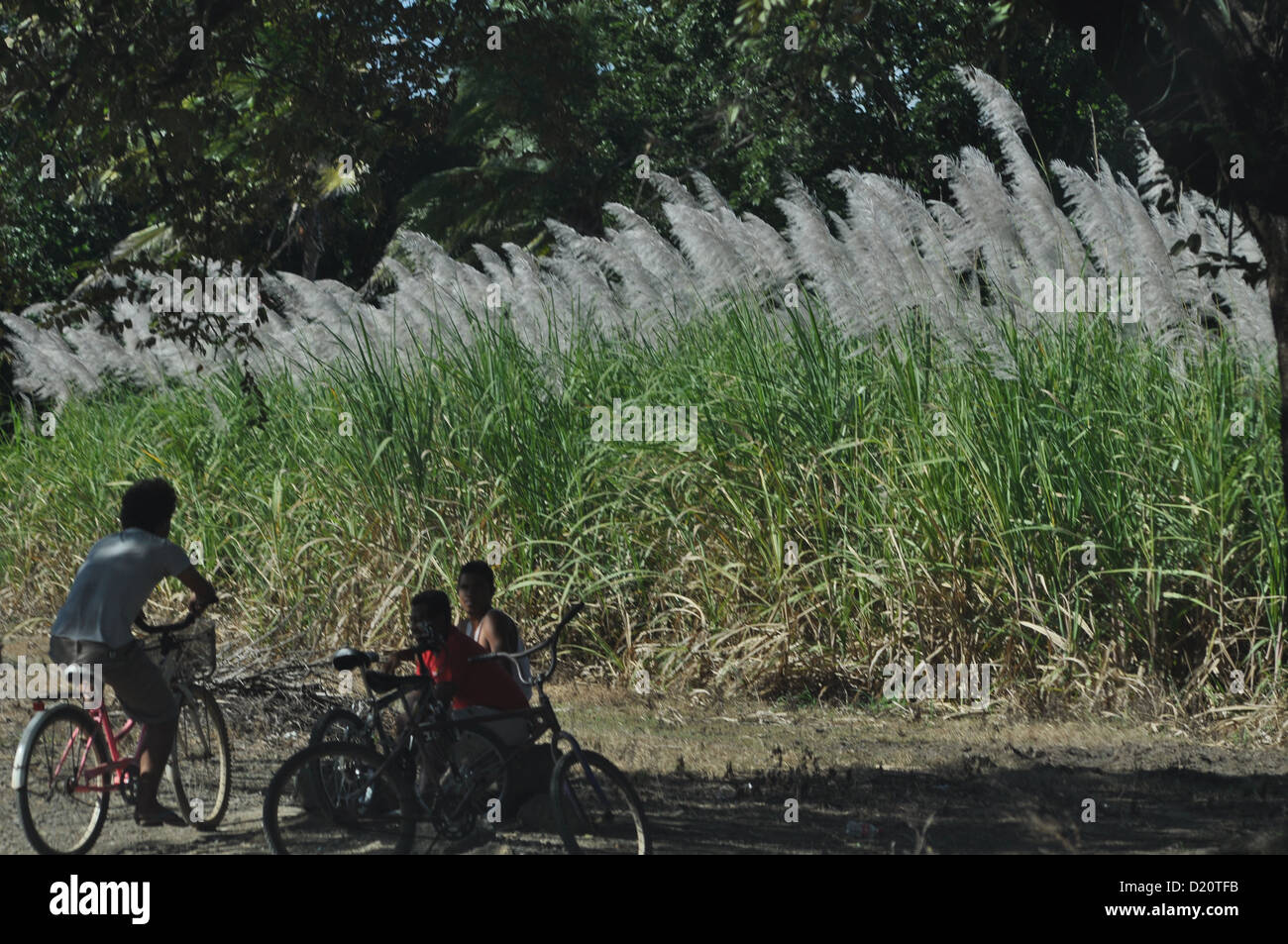 Costa Rica, countryside Stock Photo - Alamy
