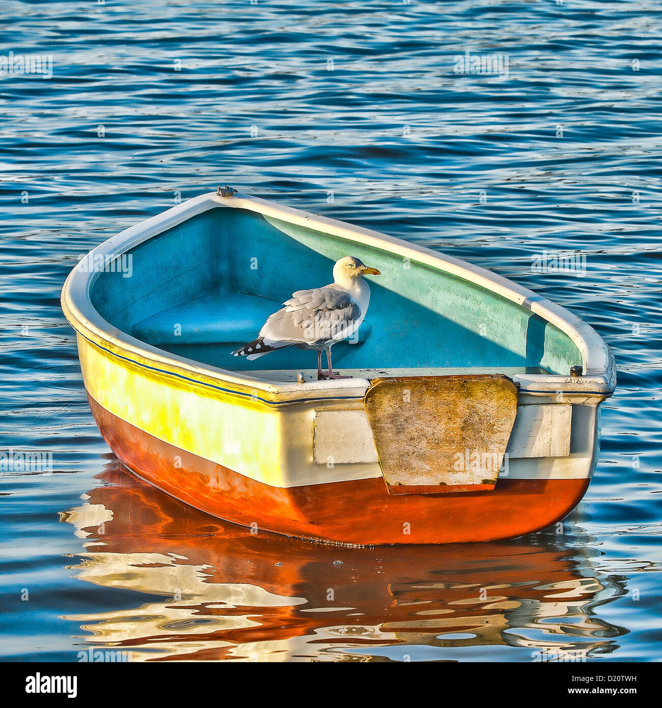 Rowing boat with seagull Stock Photo - Alamy