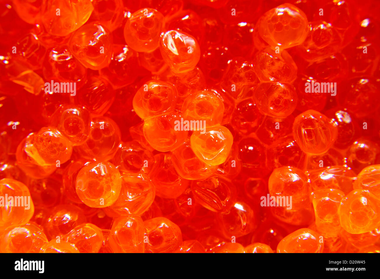 Closeup of Salmon Caviar, macro Stock Photo - Alamy