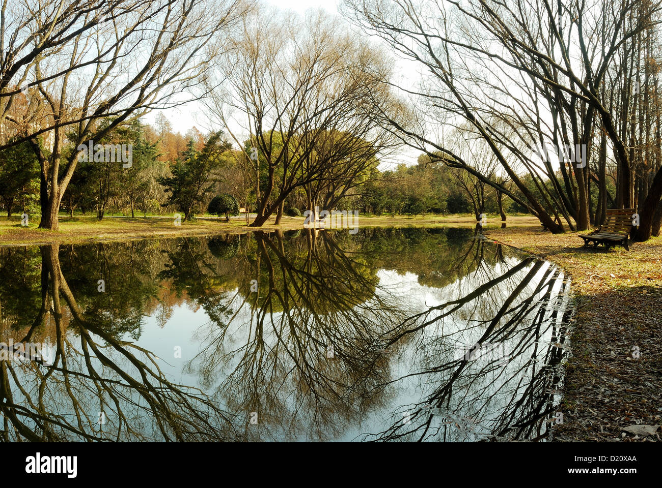 Breathtaking landscape scenery of calm water reflection surrounded by ...