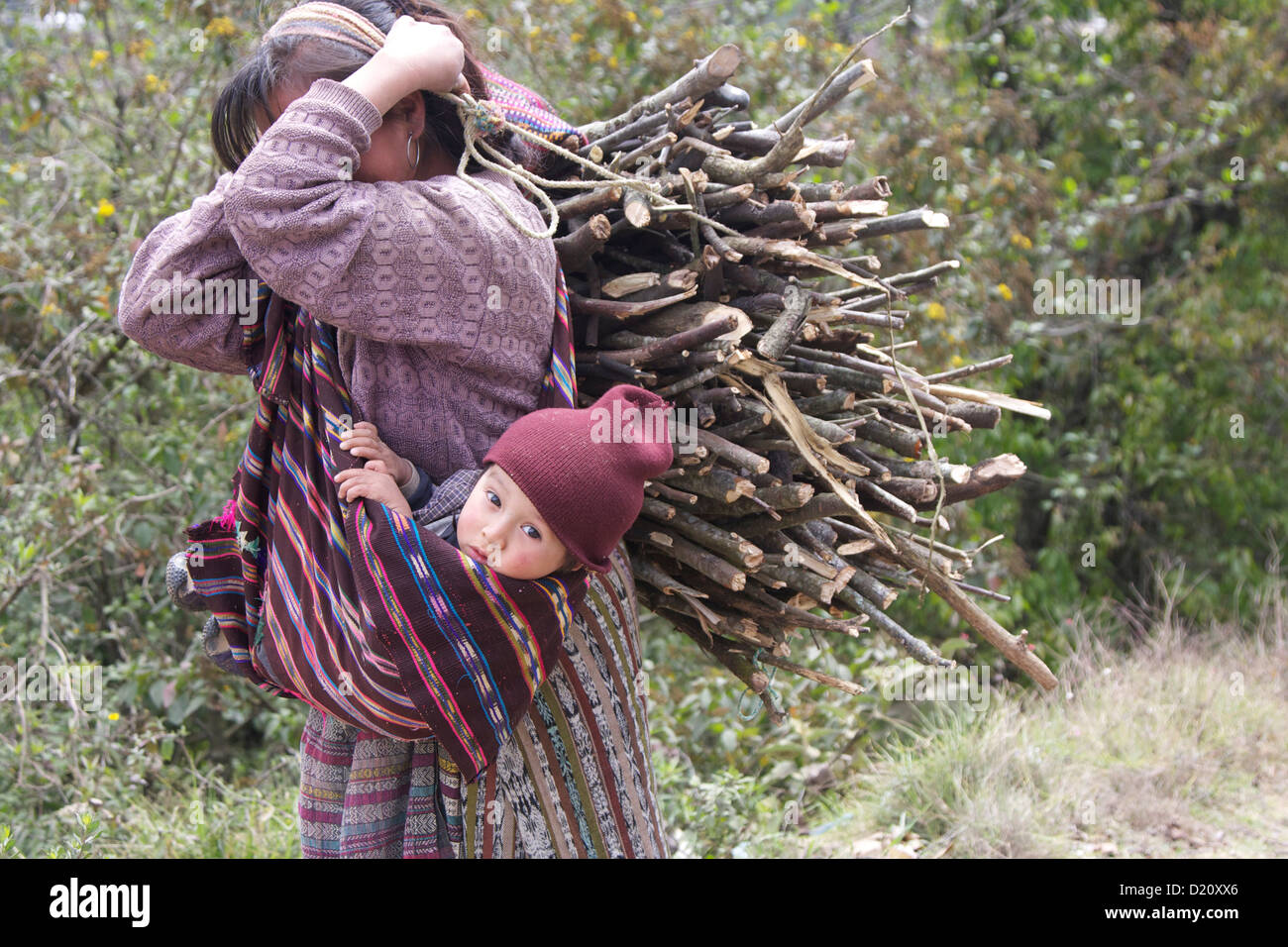 a woman carrying a big load of woods while carrying her child Stock ...