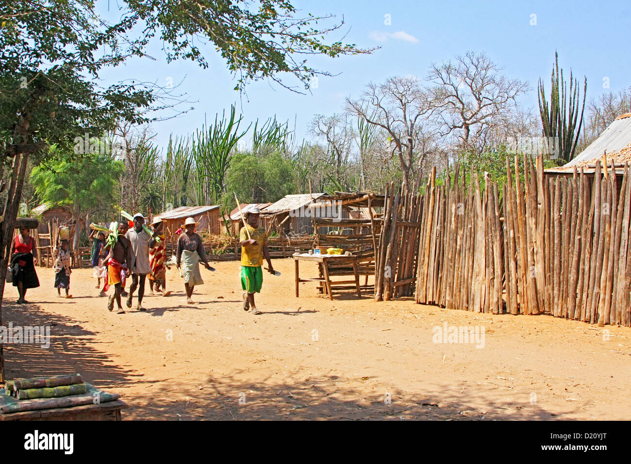 Ifotaka Community Forest area near Mandare River, Southern Madagascar ...