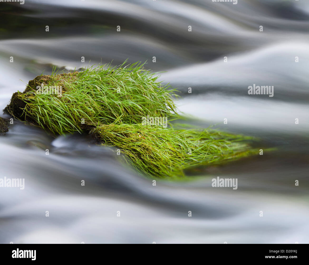 Grass in the Dueden river, Antalya, Turkish Riviera, Turkey Stock Photo ...