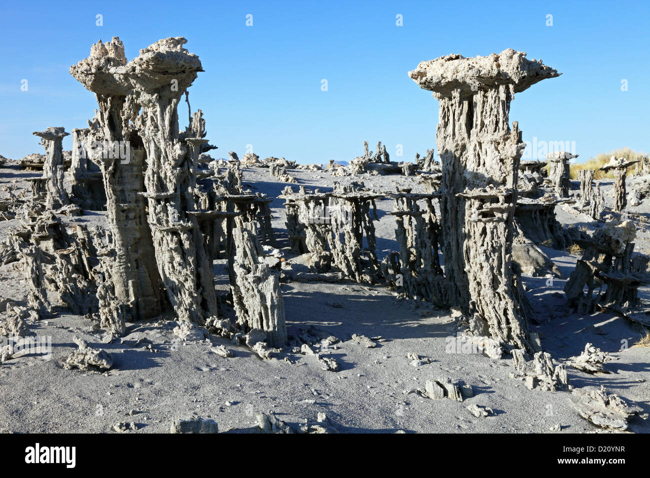 Sand Tufa, Navy Beach, Mono Lake, Eastern Sierra, CA, USA Stock Photo ...