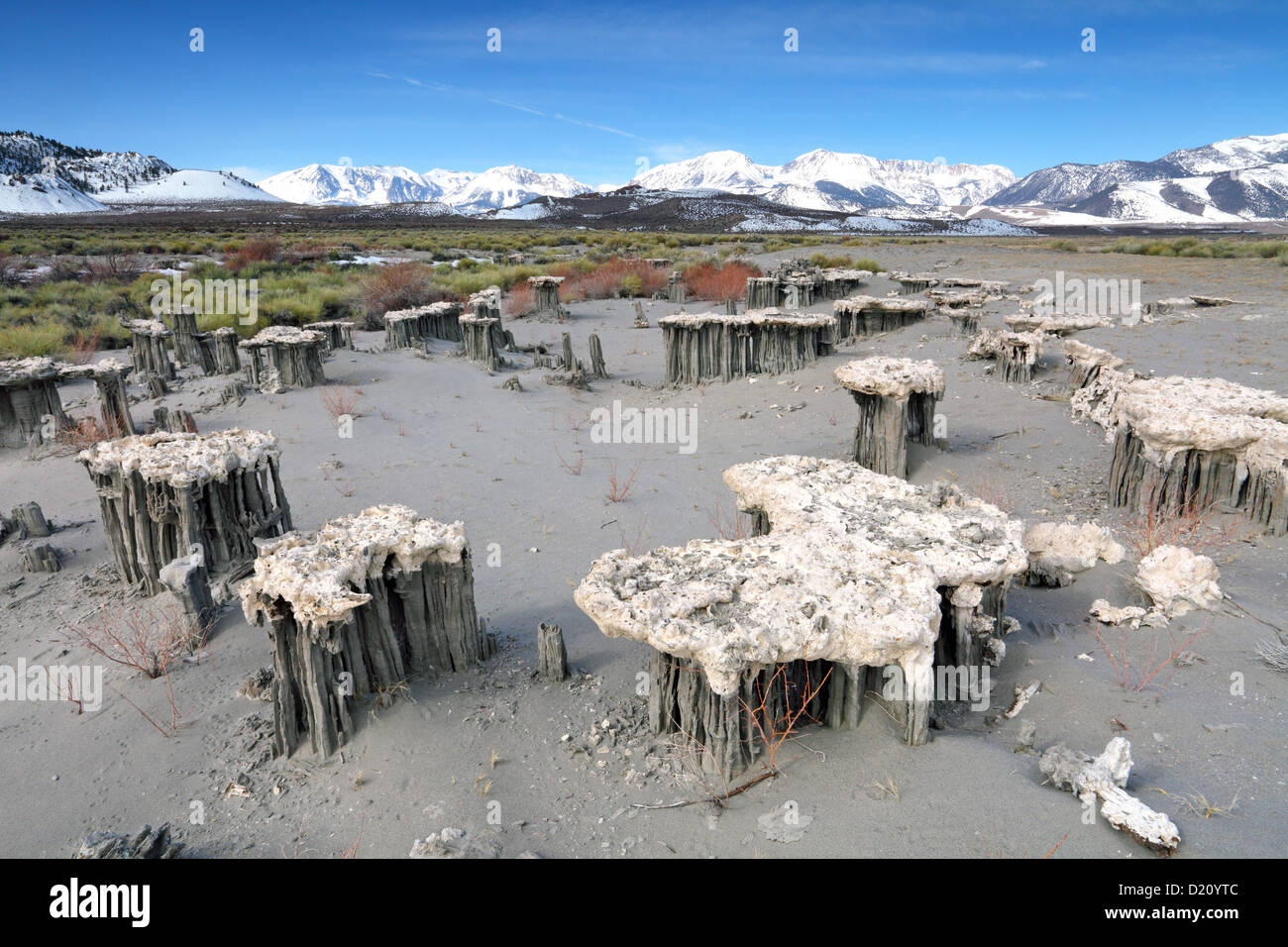 Sand Tufa, Navy Beach, Mono Lake, Eastern Sierra, CA, USA Stock Photo ...