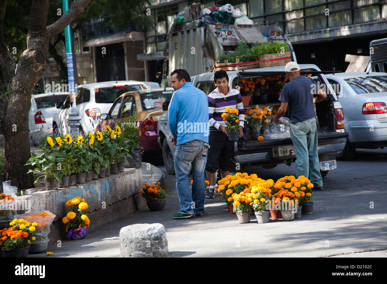 Flower Sellers offloading plants to trade on Parque Mexico in Condesa ...