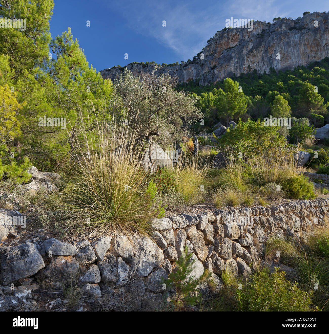 Alaro mountains mallorca hi-res stock photography and images - Alamy