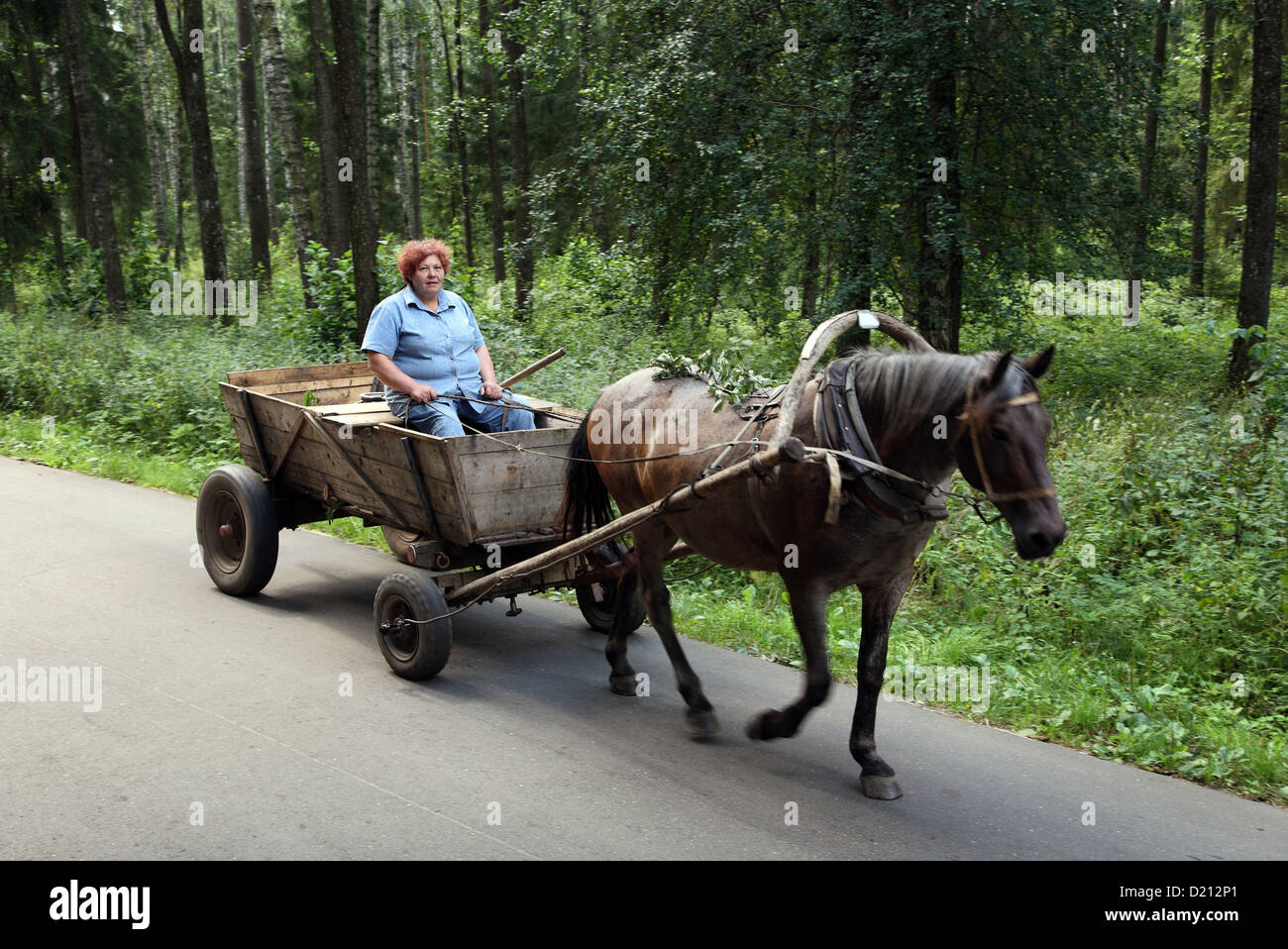 Bobruisk, Belarus, a woman riding a horse cart Stock Photo - Alamy