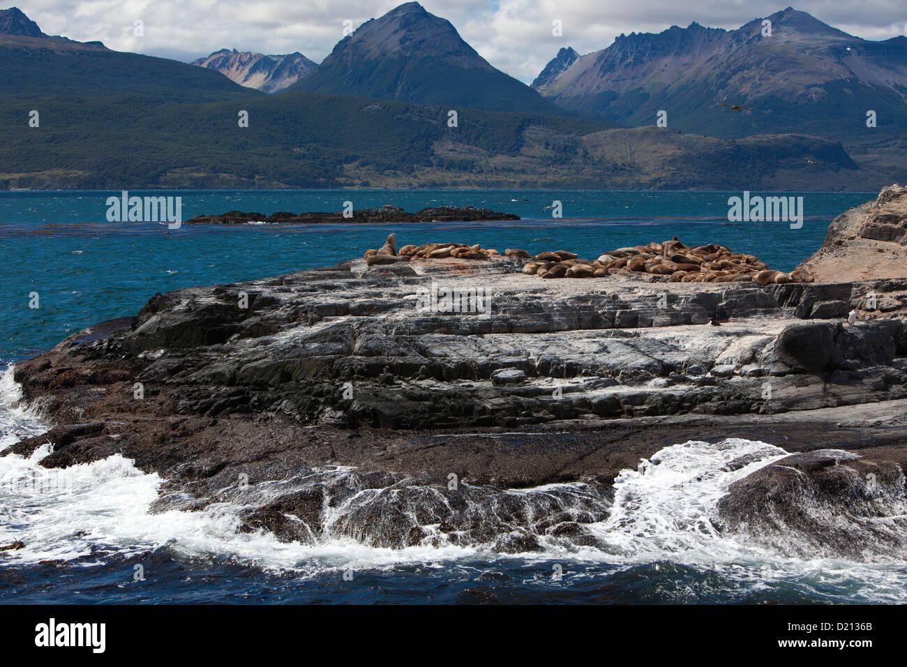 Beagle canal in tierra del fuego hi-res stock photography and images ...