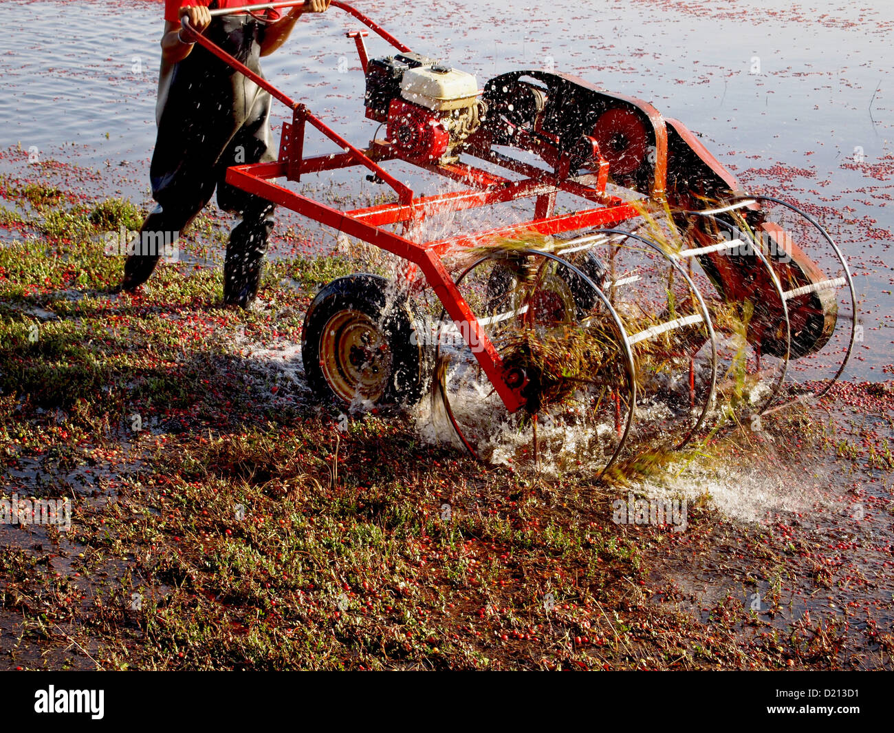 Man wearing waders hi-res stock photography and images - Alamy