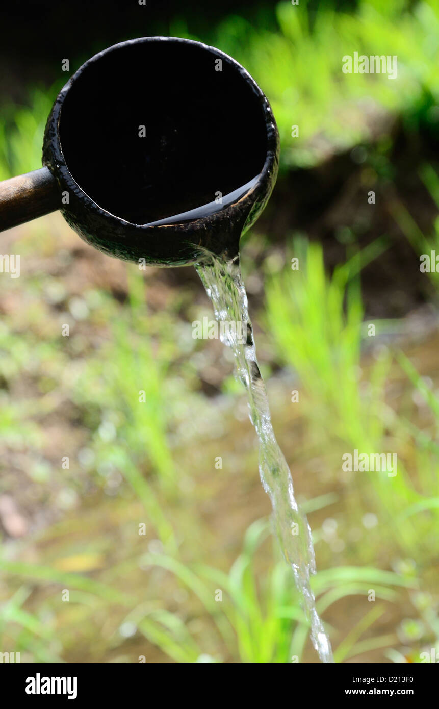 traditional water dipper made from wood and coconut shell Stock Photo ...