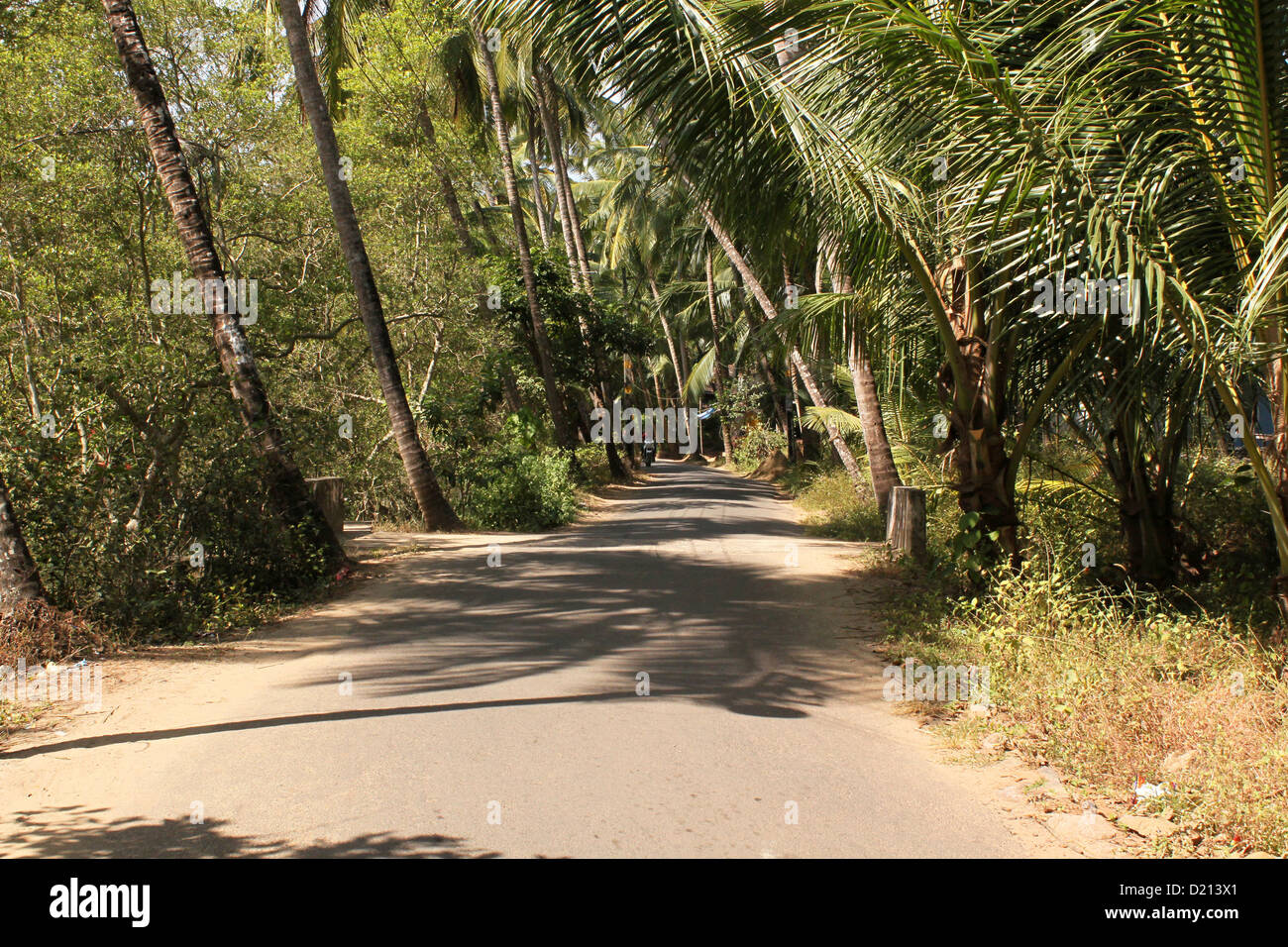 Village road india hi-res stock photography and images - Alamy