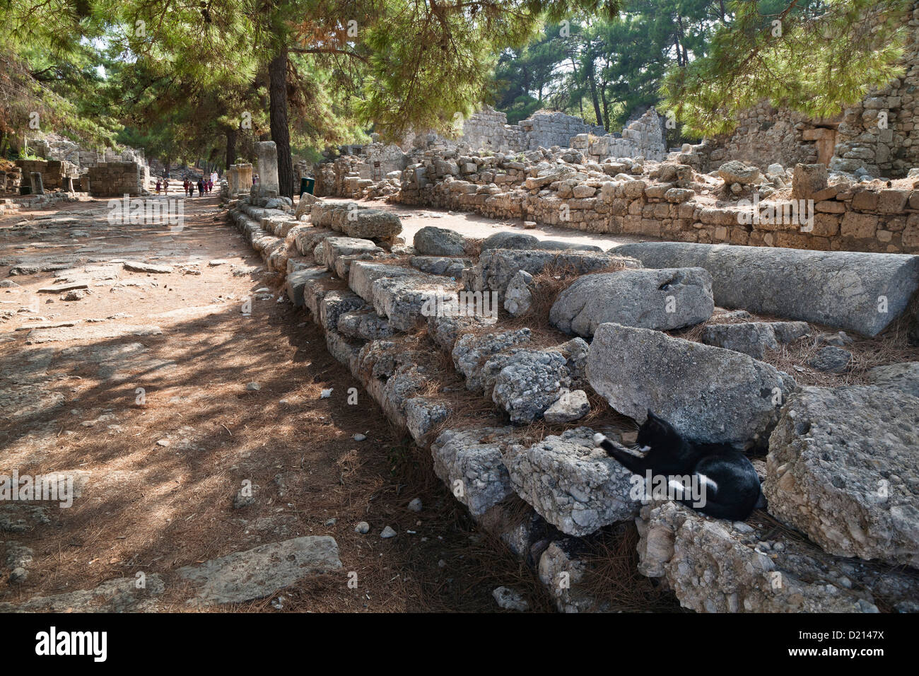 Main street in the ancient citiy of Phaselis, lycian coast, Lycia ...