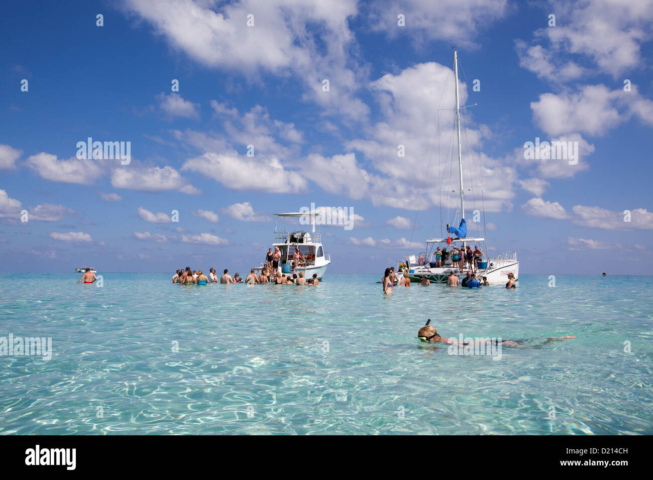 Snorkeler and excursion boats at Stingray City sand bank, Grand Cayman ...