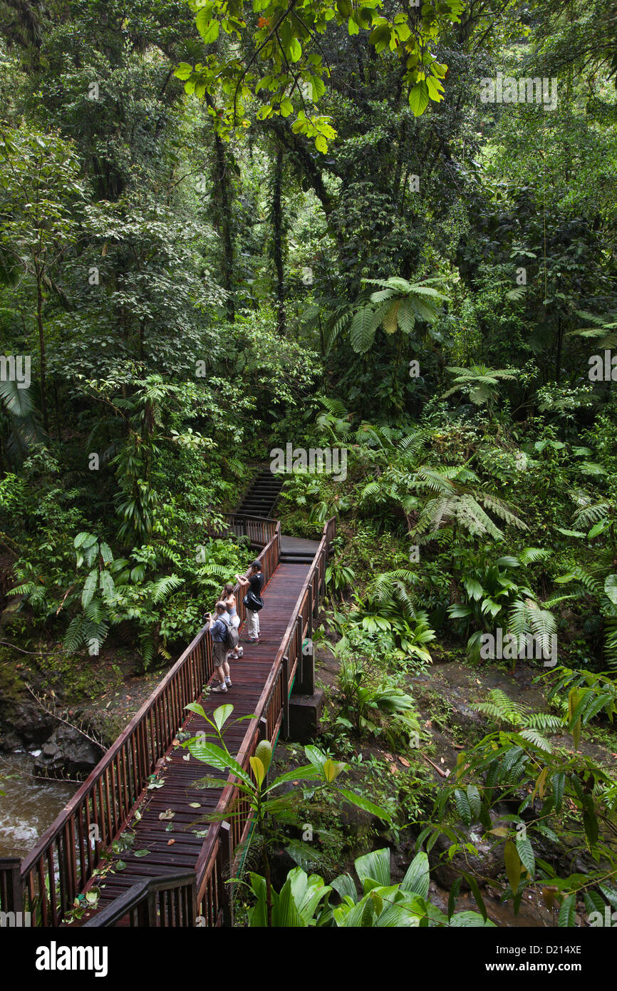 Lush rainforest and people on a bridge over stream fed by the Carbet ...