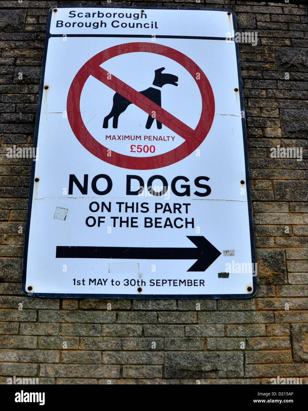 Sign forbidding dogs on the beach Stock Photo - Alamy