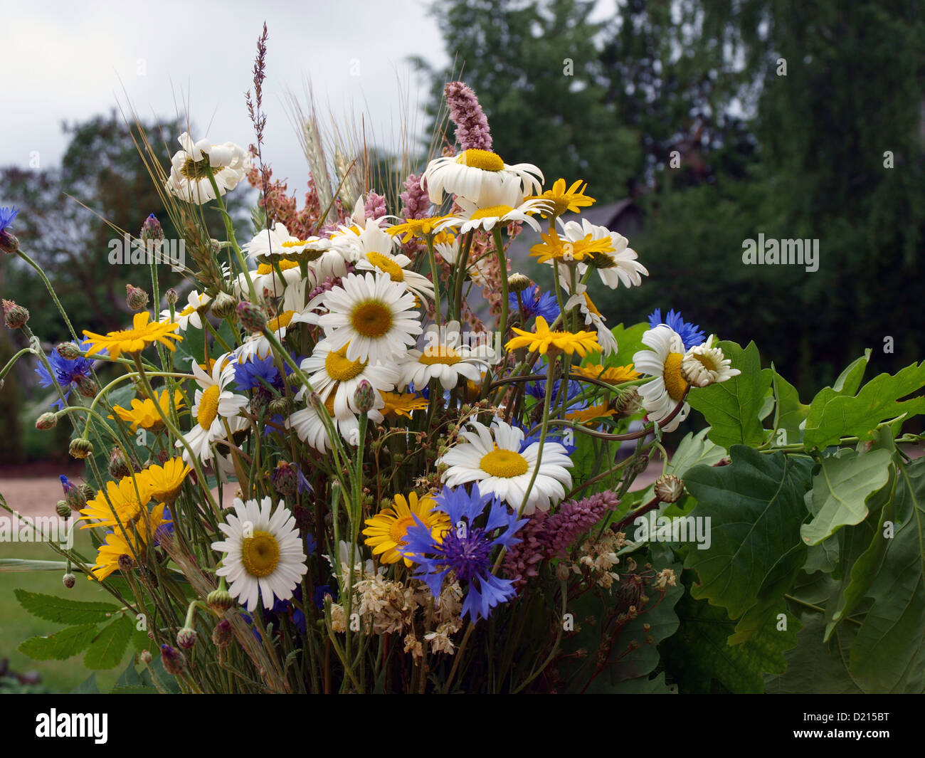 Midsummer day bouquet from different wild country flowers Stock Photo ...