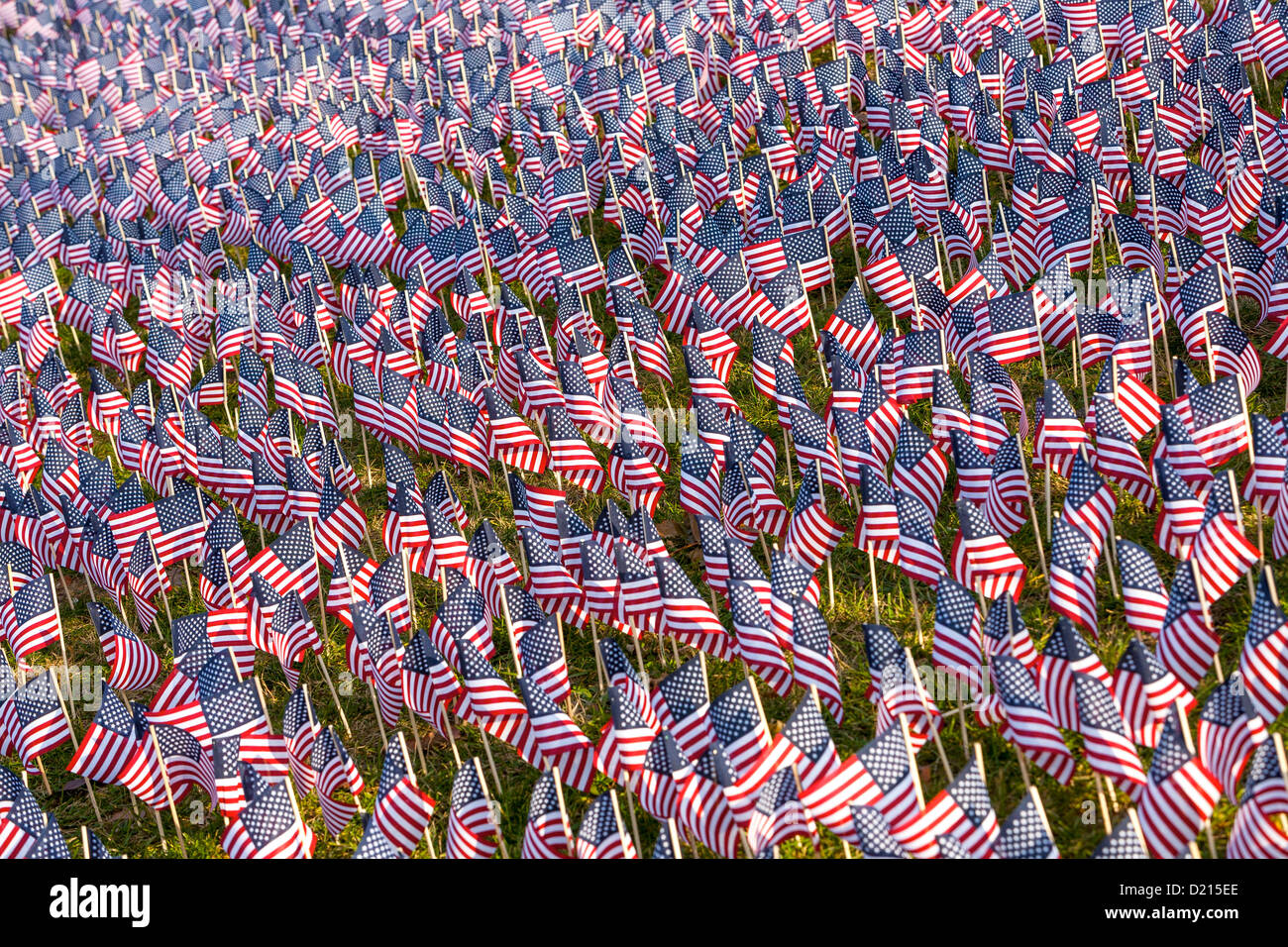 Hundreds of American Flags planted in a field Stock Photo - Alamy