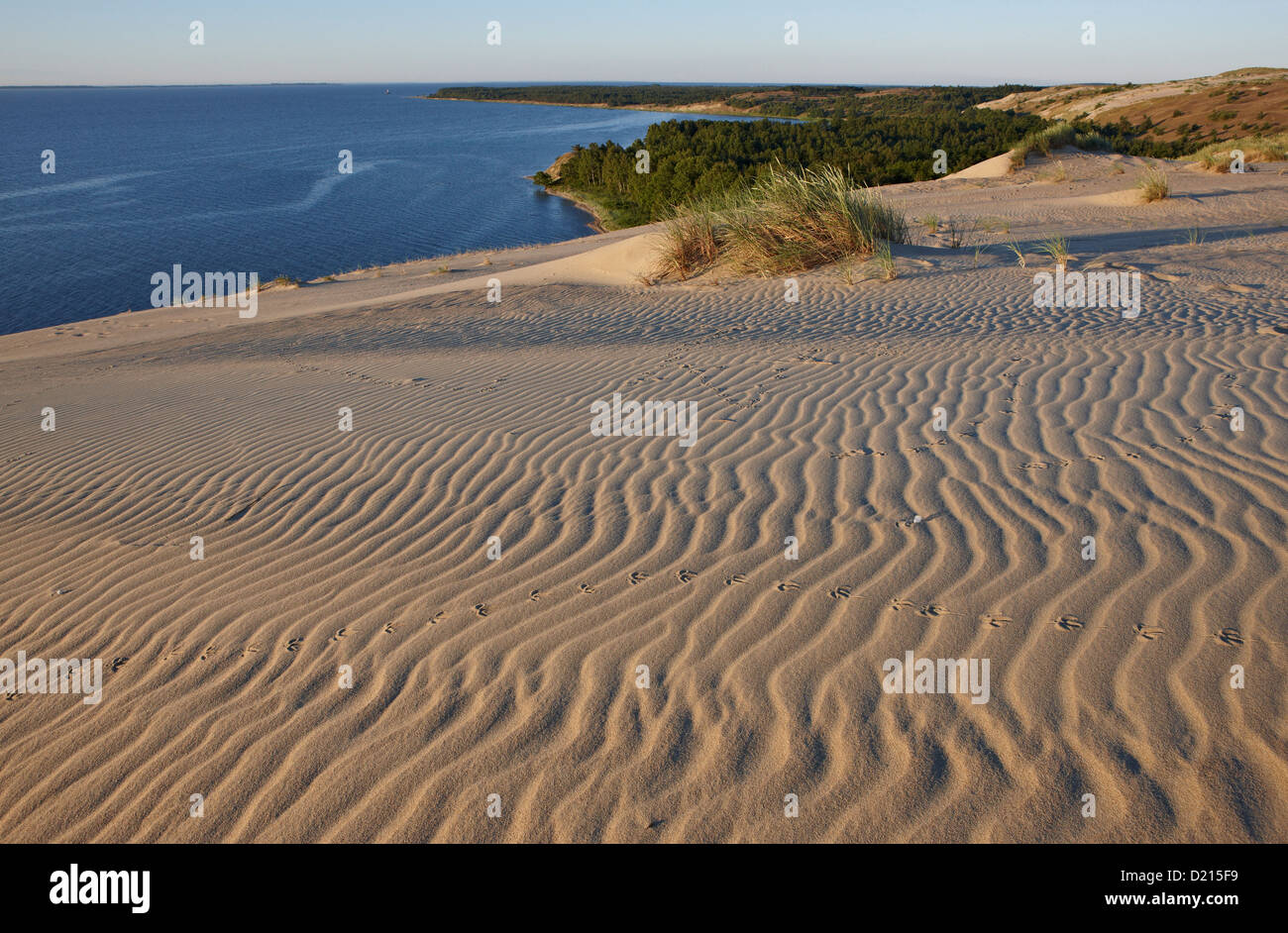 Ripples in the sand on a wandering dune, Curonian Lagoon North of ...
