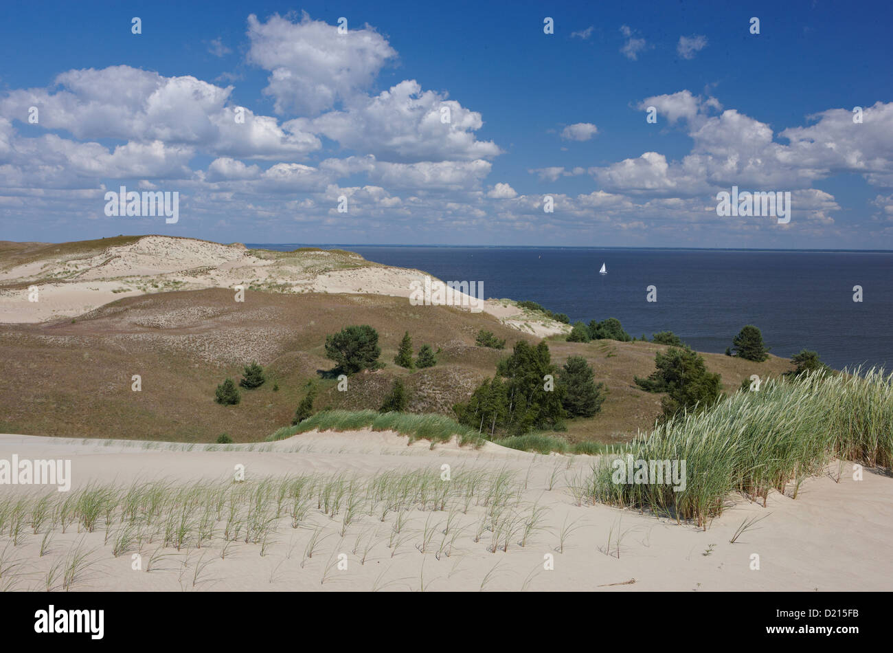 Curonian spit baltic dune in hi-res stock photography and images - Alamy