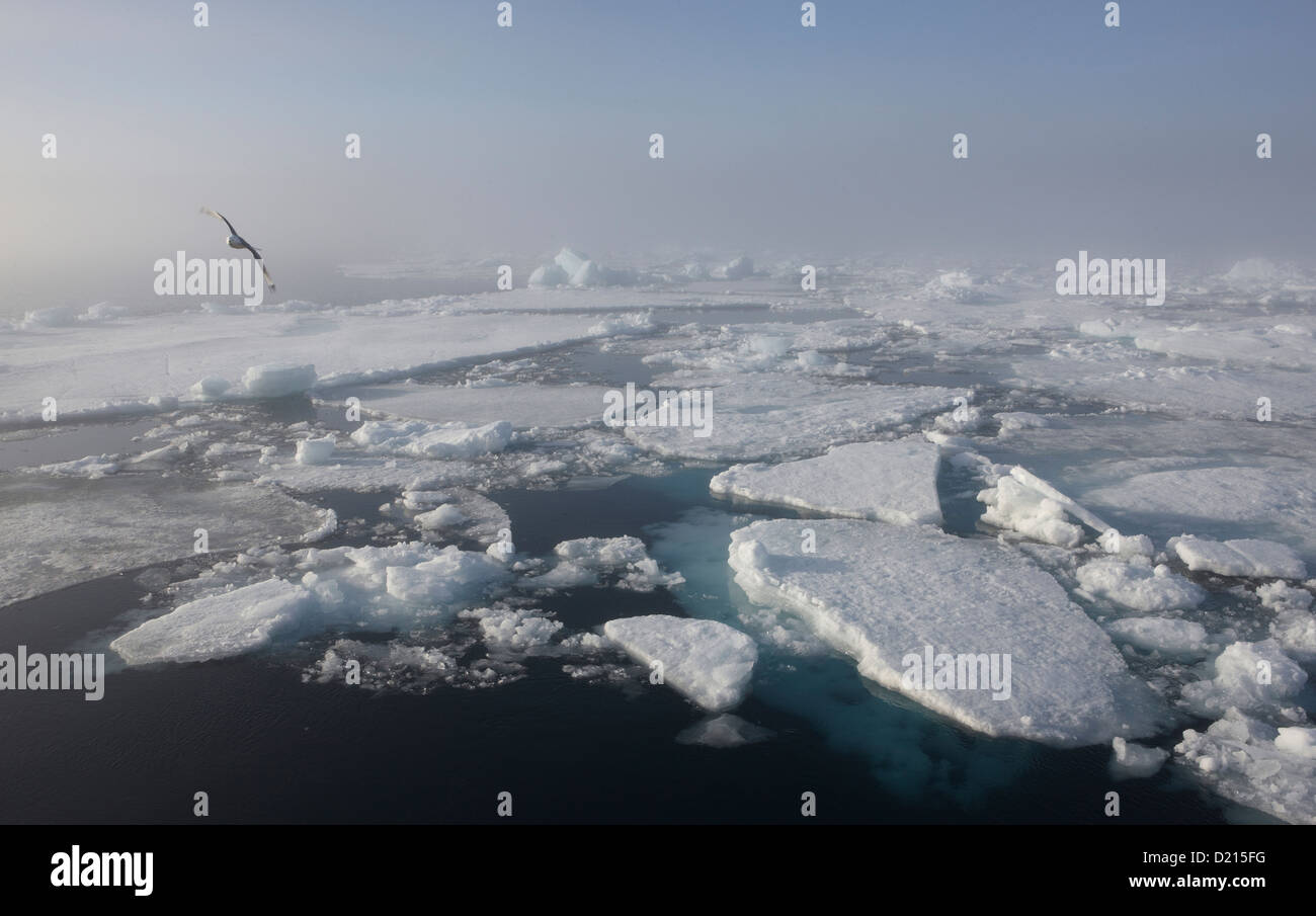 Arctic holidays hi-res stock photography and images - Alamy