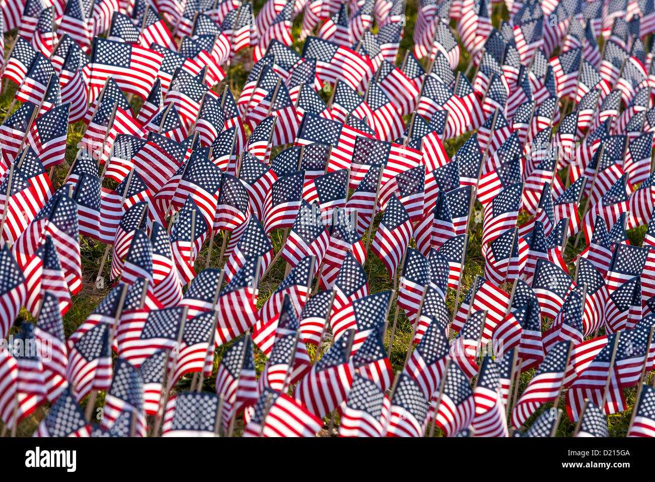 Hundreds of American Flags planted in a field Stock Photo - Alamy