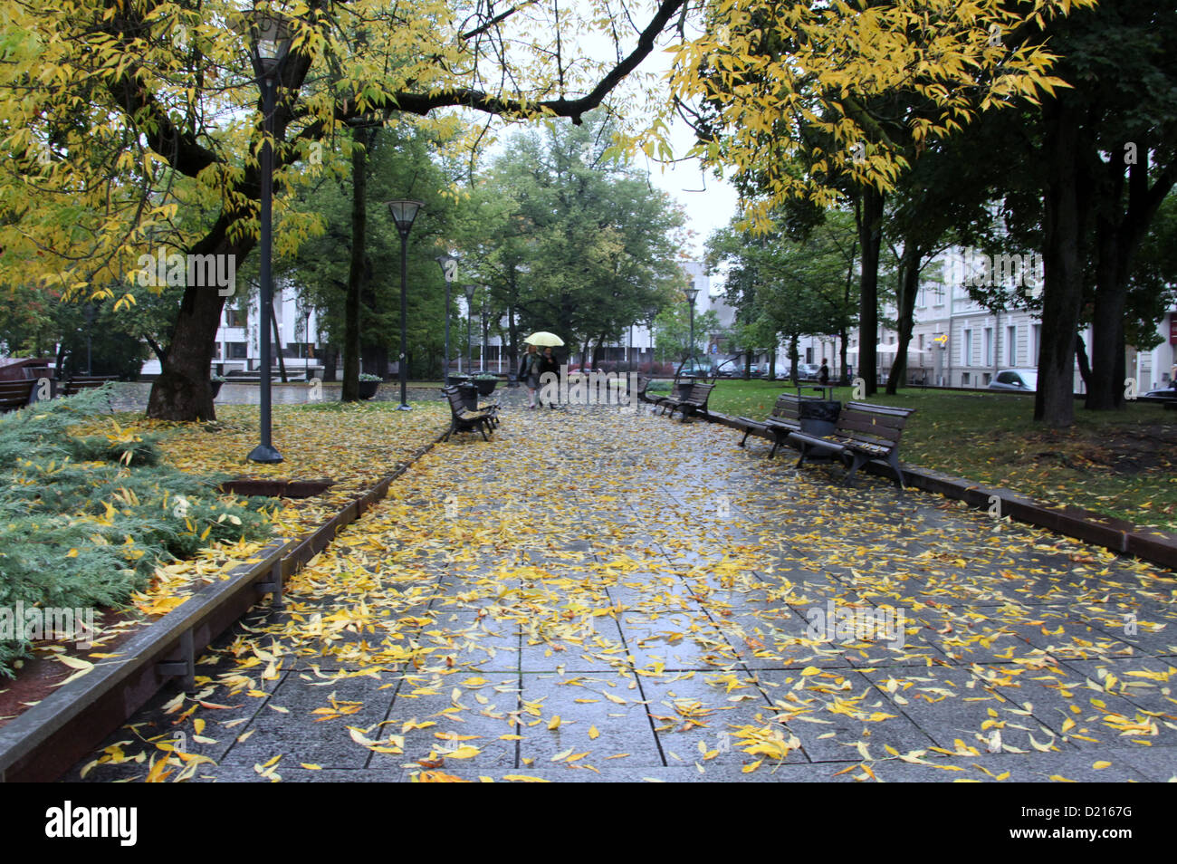 Autumn in vilnius hi-res stock photography and images - Alamy