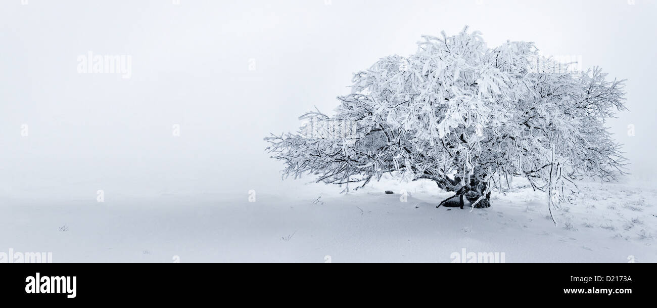 Mantle of snow hi-res stock photography and images - Alamy