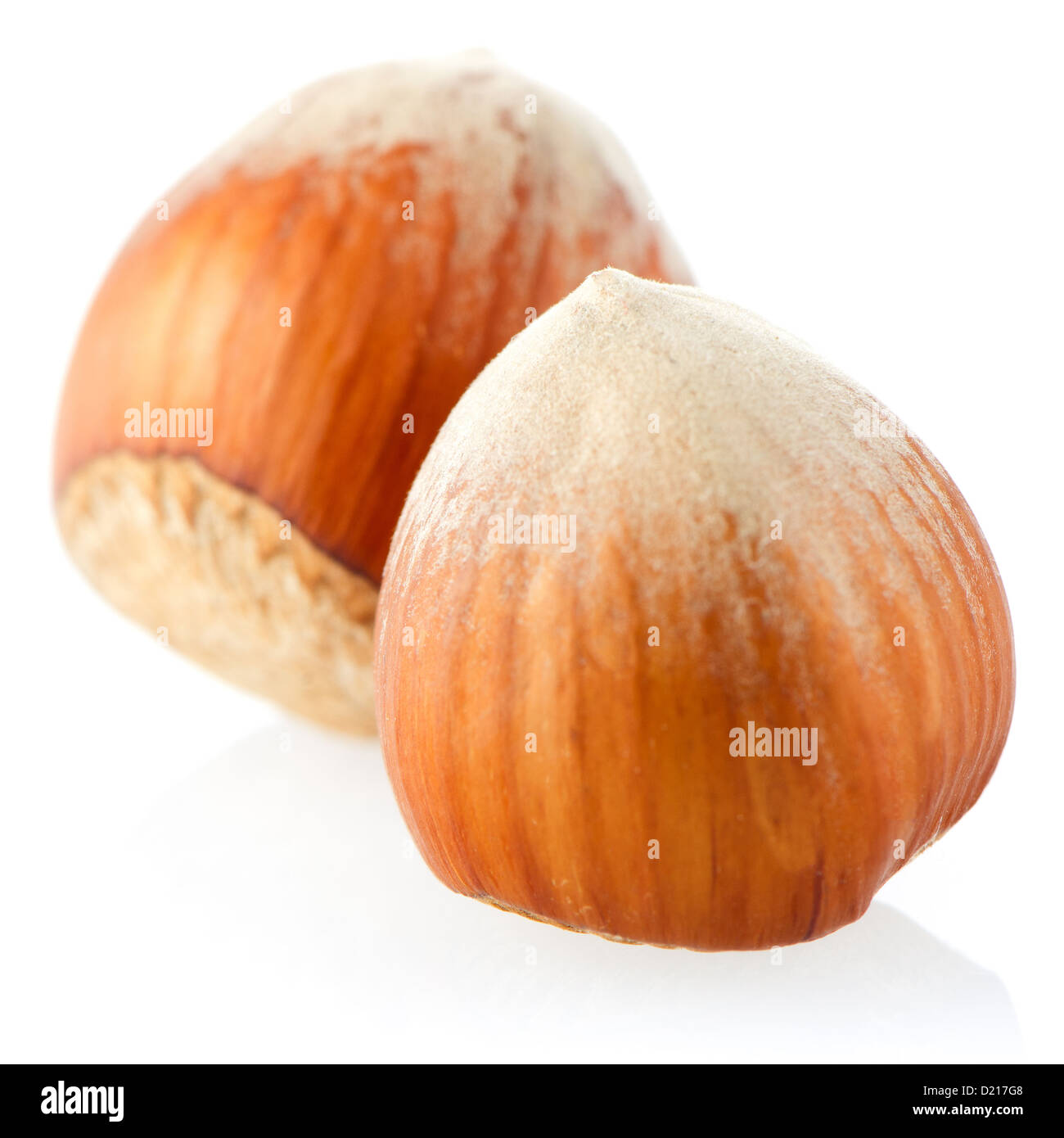 Three hazelnuts isolated on white background Stock Photo - Alamy
